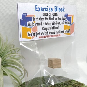 Exercise Block Gag Gifts, Prank, Funny Novelty Gifts, Basket Stuffers ...