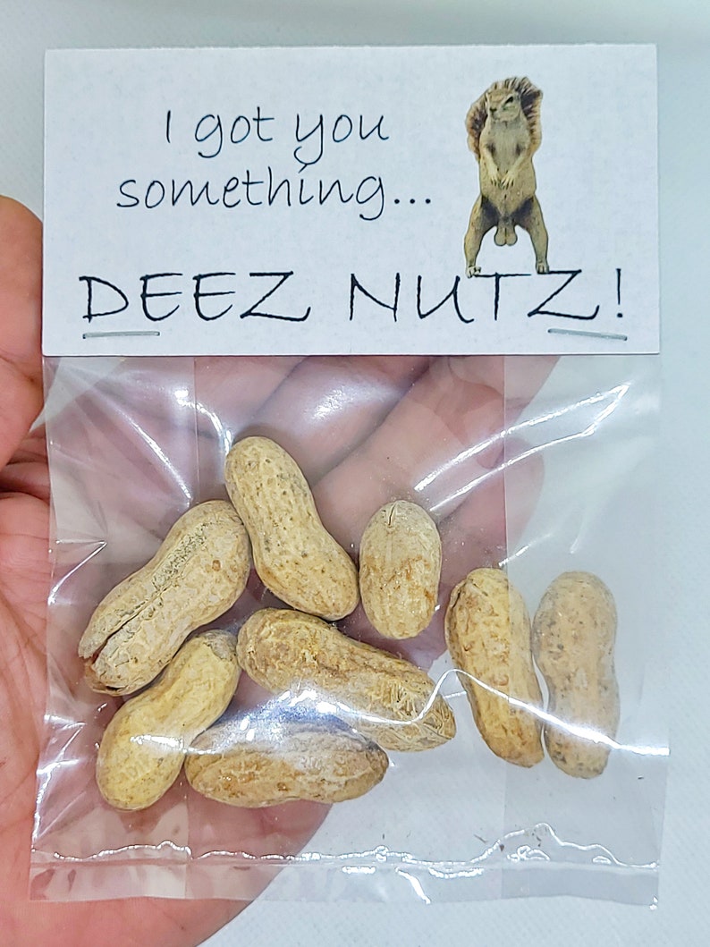 Deez Nutz Sarcastic Squirrel Peanut Gag Gift Prank Funny - Etsy