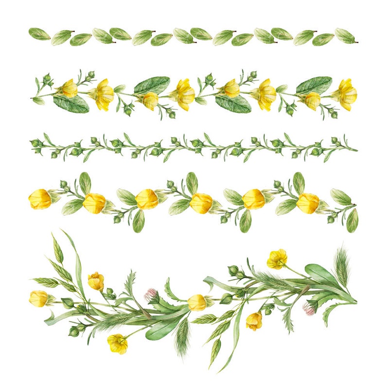 FLORAL BORDERS. Spring borders, watercolor borders, hand painted, size ...