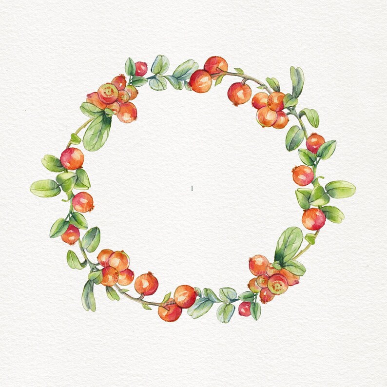 Cranberries, watercolor clipart, hand painted cranberries, cranberries ...