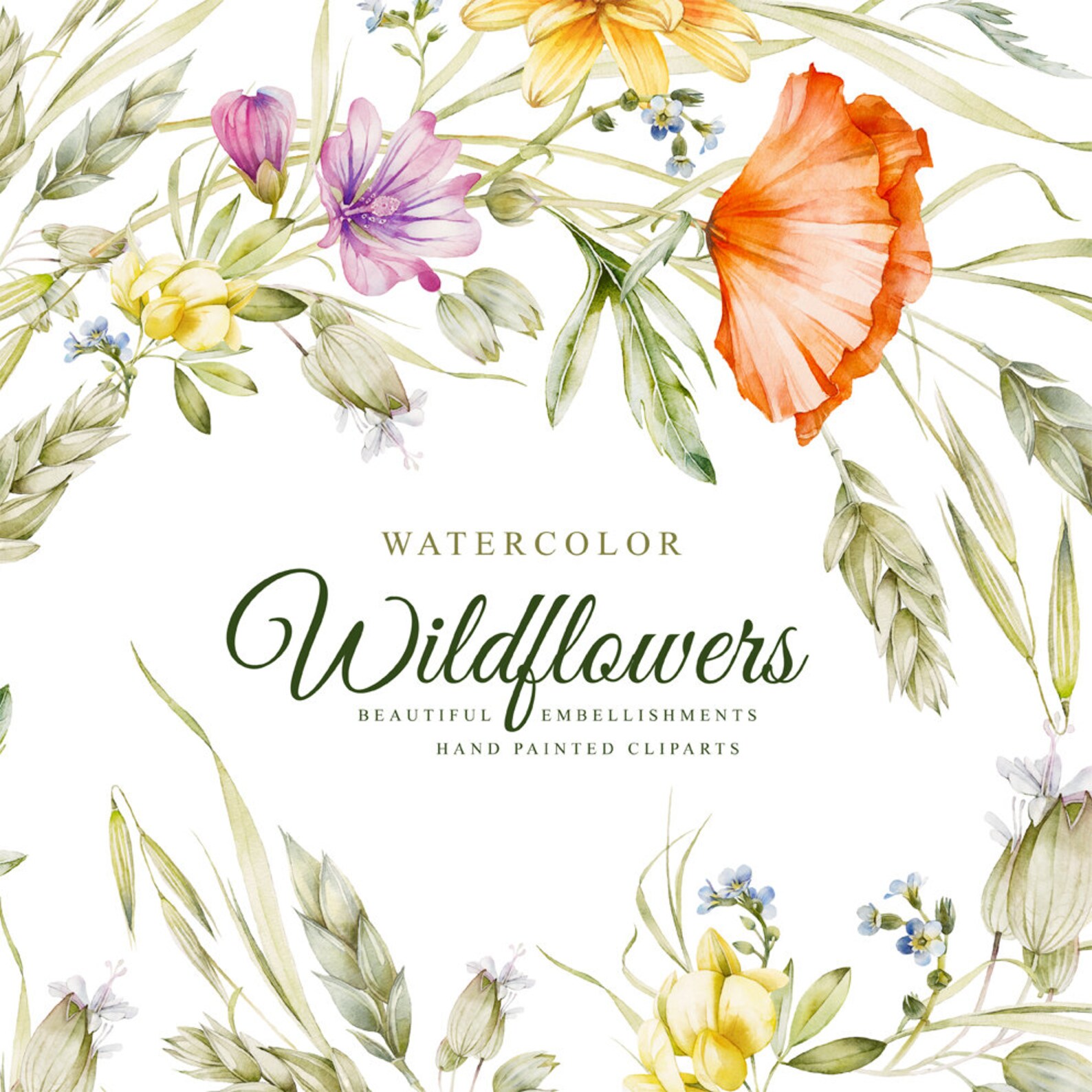 Wildflowers. Hand Painted, Watercolors Clipart, 5 Beautiful ...