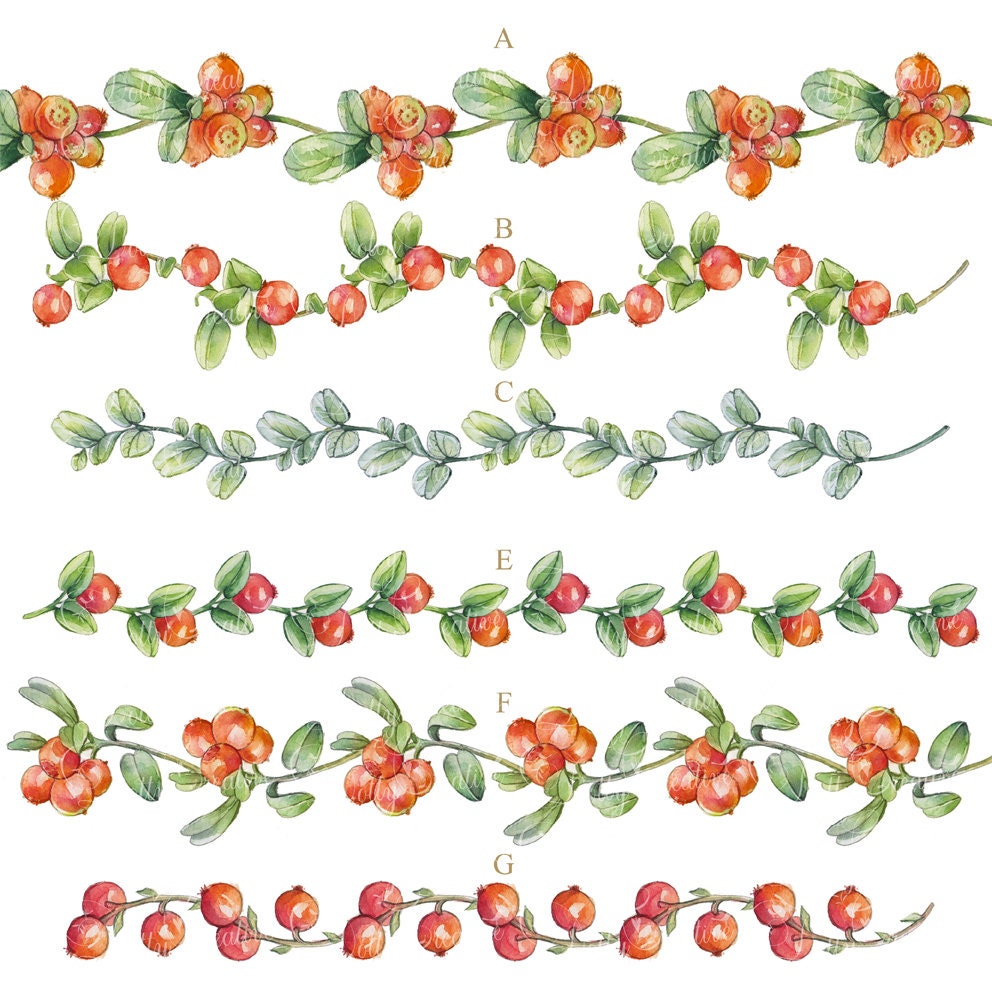 6 Borders Berries Hand Painted Clipart's Watercolor - Etsy