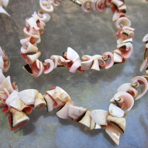 Vintage Strawberry Strombus Conch Shell Jewelry Set, Necklace and ...