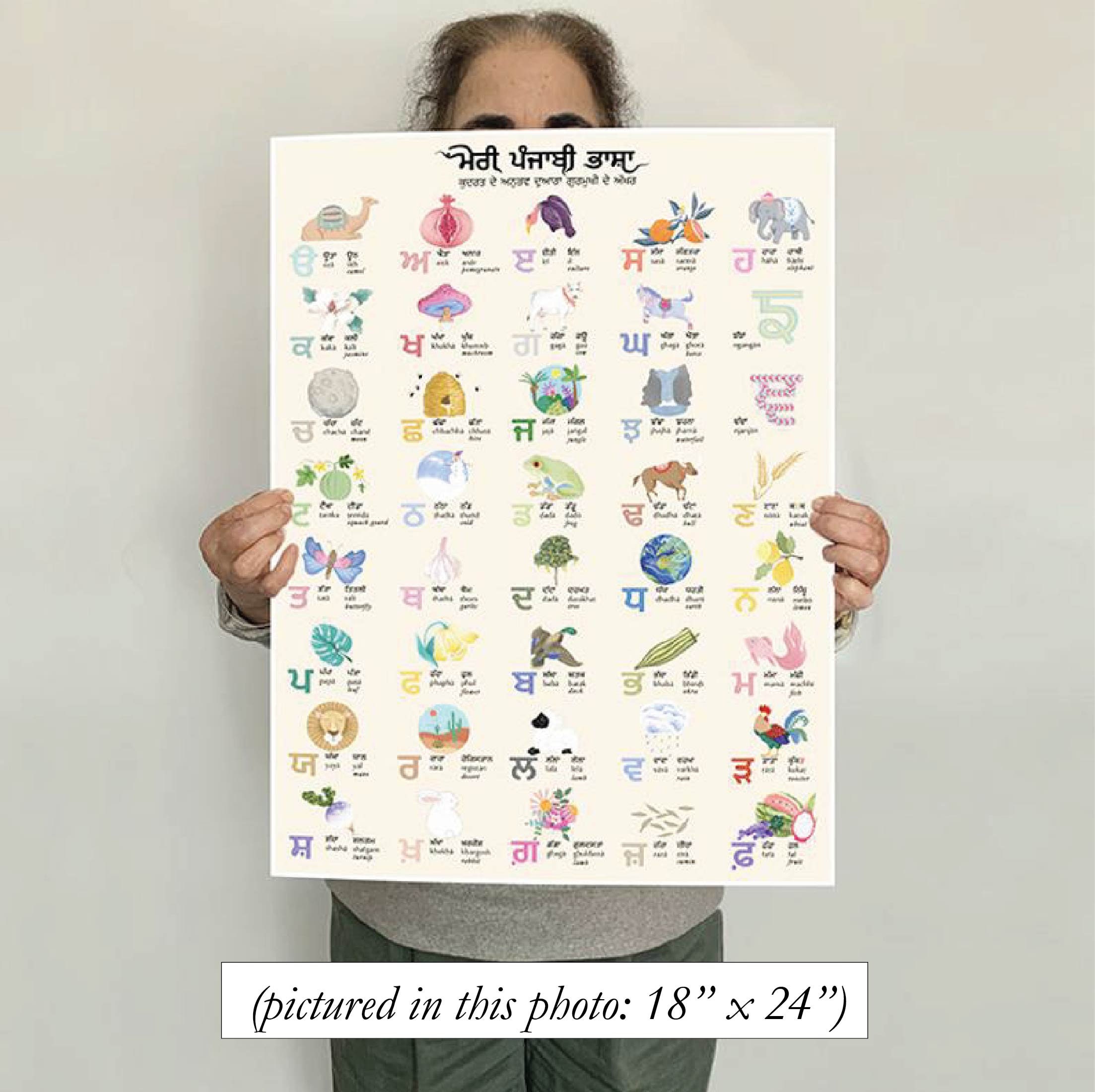 Complete Punjabi Alphabet Chart art Print | Etsy Canada