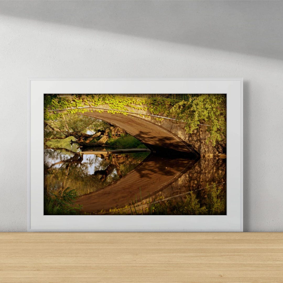 Professional Print of Bridge Reflection on the Esplanade at the Charles ...