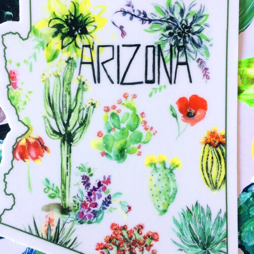 Arizona Botanical Desert Cactus Succulent Watercolor Vinyl - Etsy