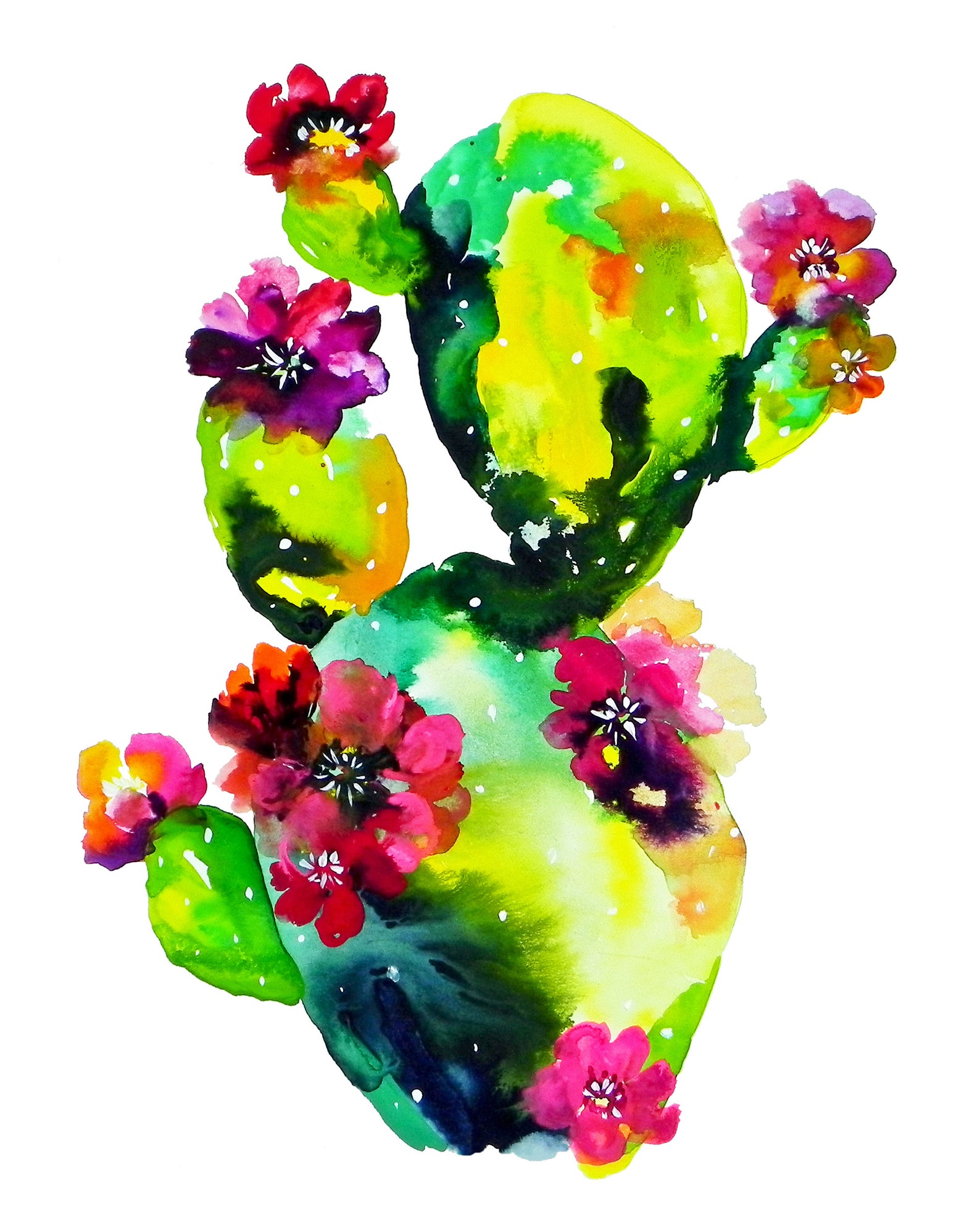 Prickly Pear Spectrum Cactus Pink Botanical Watercolor Art | Etsy