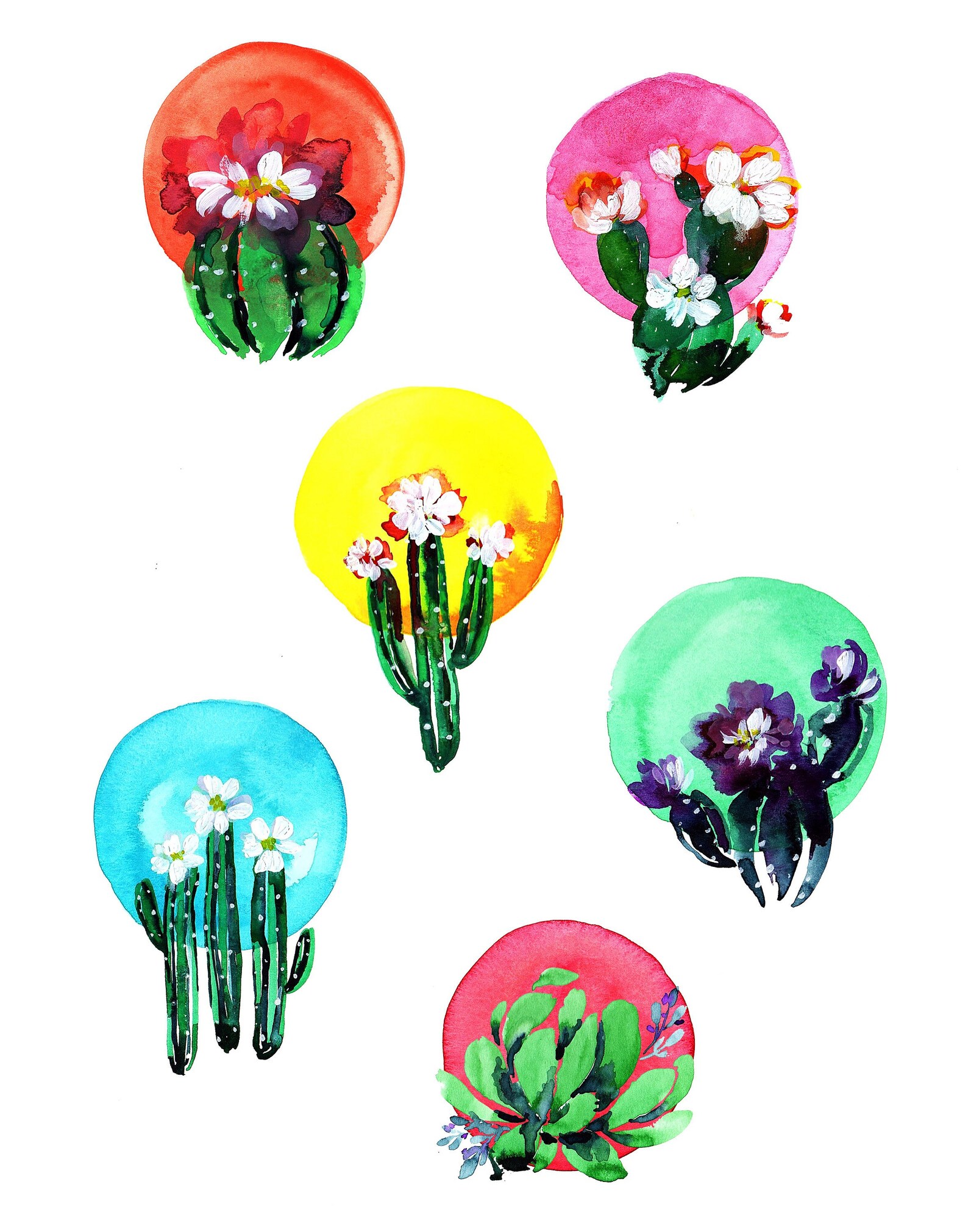 Bubble Rainbow Round Circle Cacti Saguaro Desert Scene Cactus - Etsy