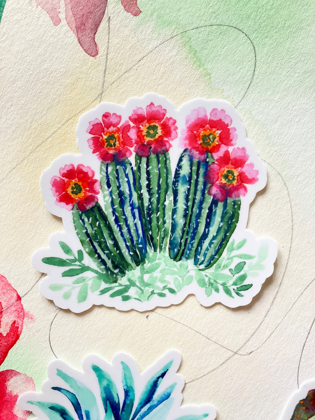 Strawberry Hedgehog Cactus Pink Flowers Botanical Watercolor Vinyl ...