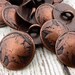 Indian Head Nickel, Metal Button 5/8" Antique Copper Buttons Qty 4 to ...