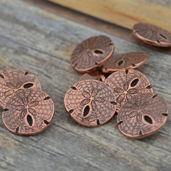 Sand Dollar Bracelet - Etsy