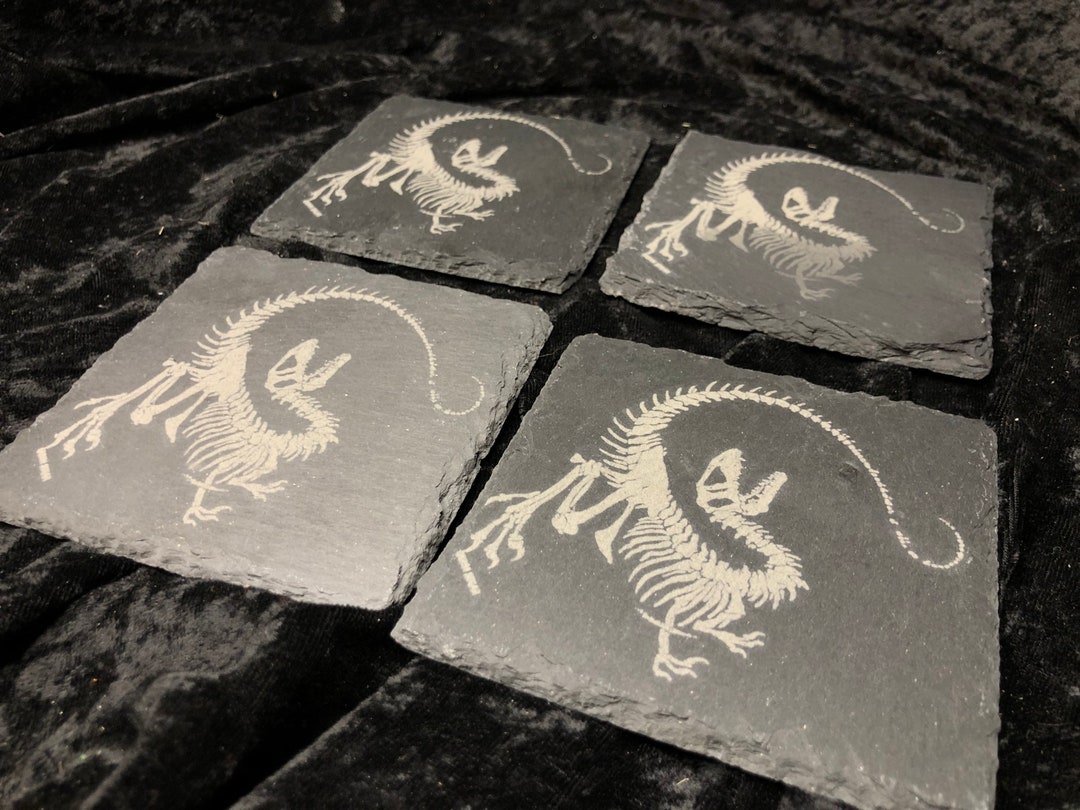 Slate Dinosaur Fossil Coasters - Etsy