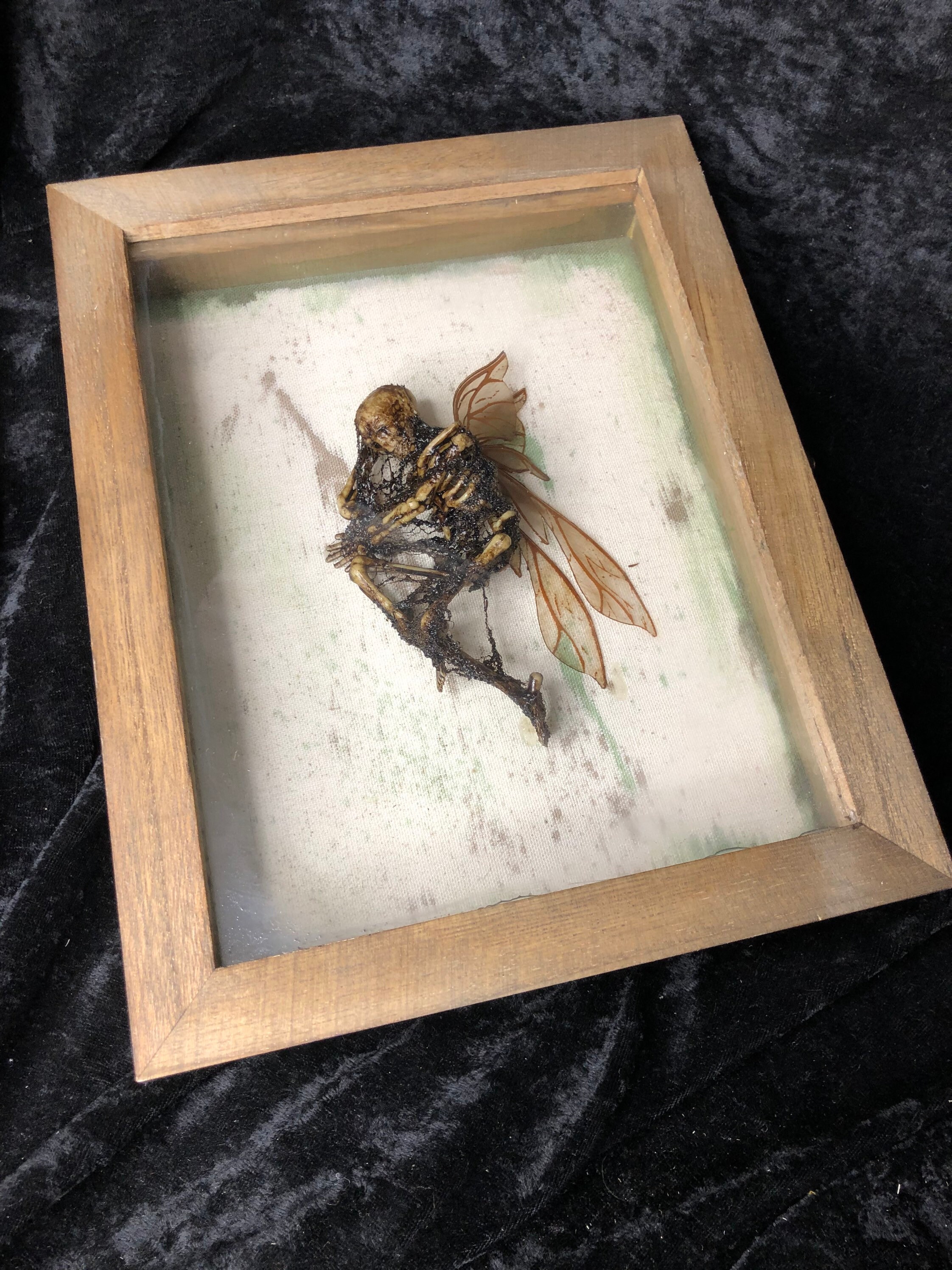 Dead Fairy Display Case | Etsy
