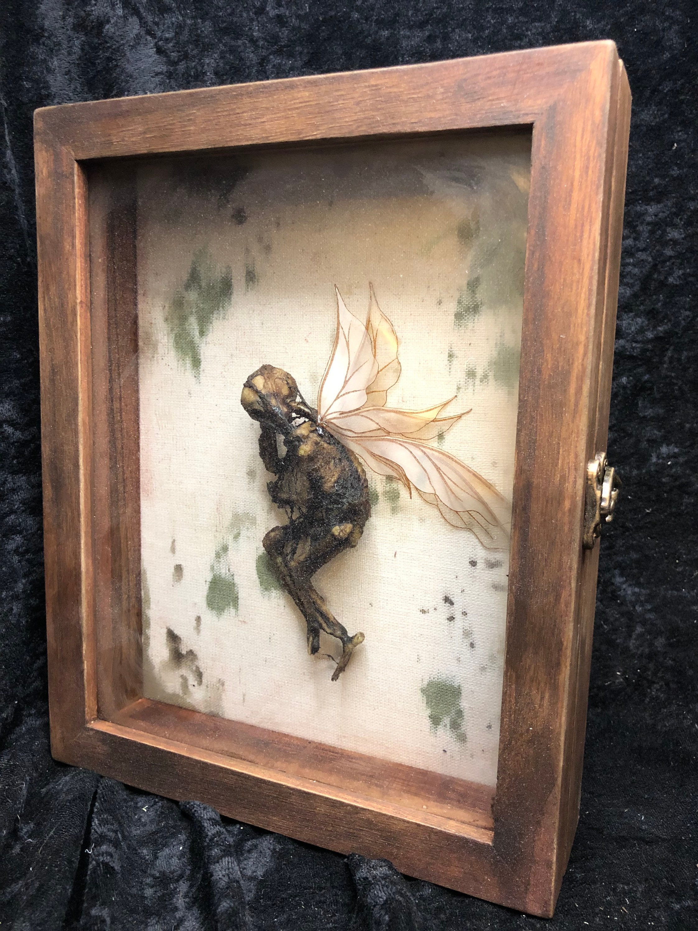 Dead Fairy Display Case | Etsy