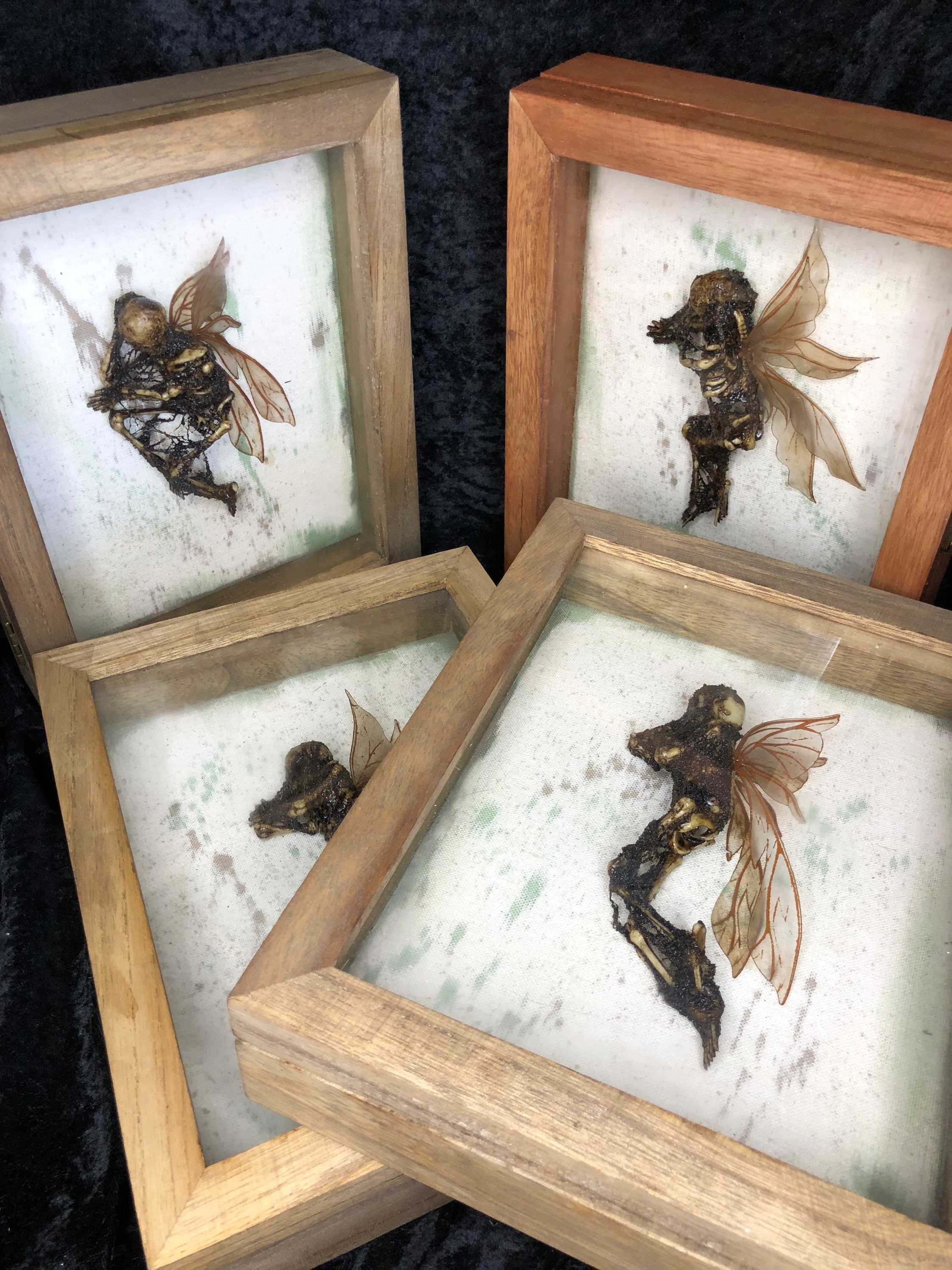 Dead Fairy Display Case | Etsy