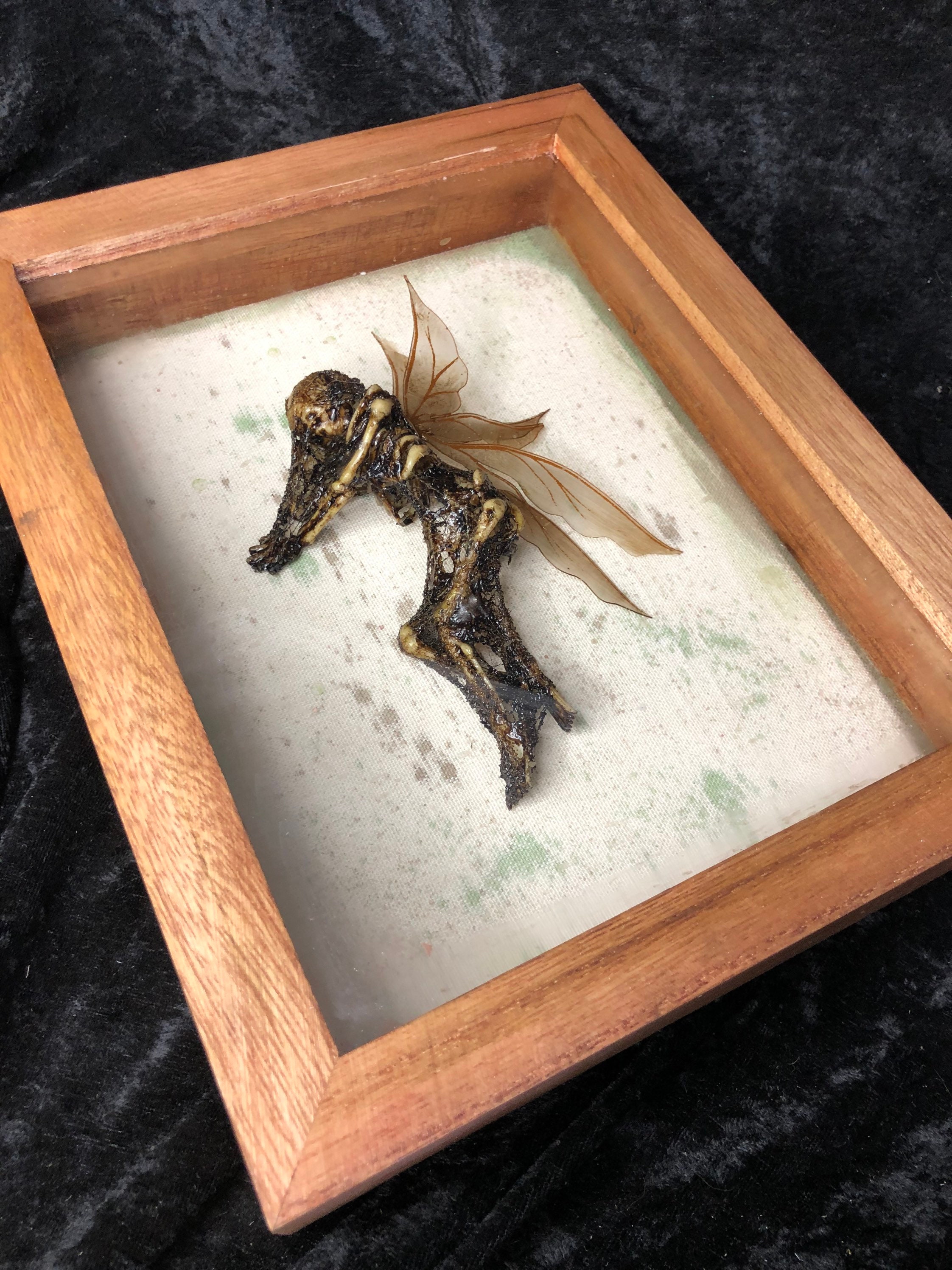 Dead Fairy Display Case | Etsy