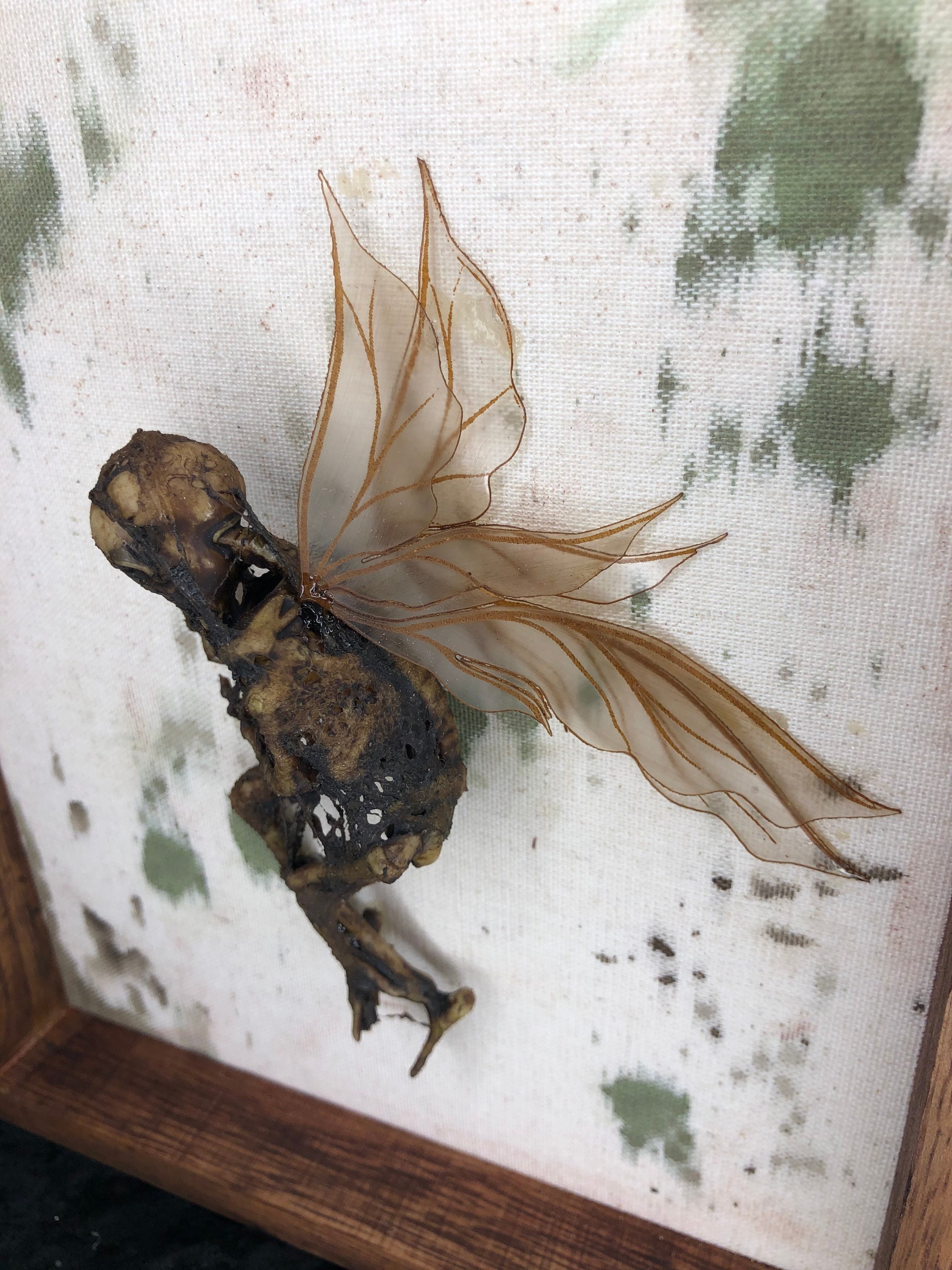 Dead Fairy Display Case | Etsy