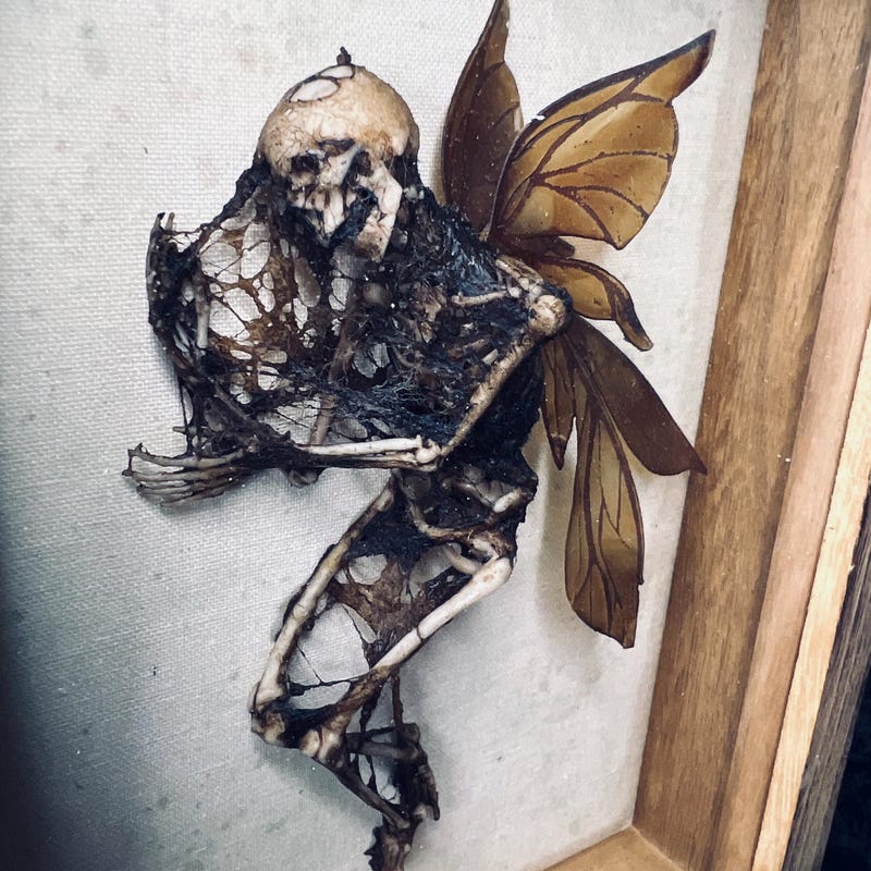 Dead Fairy - Etsy
