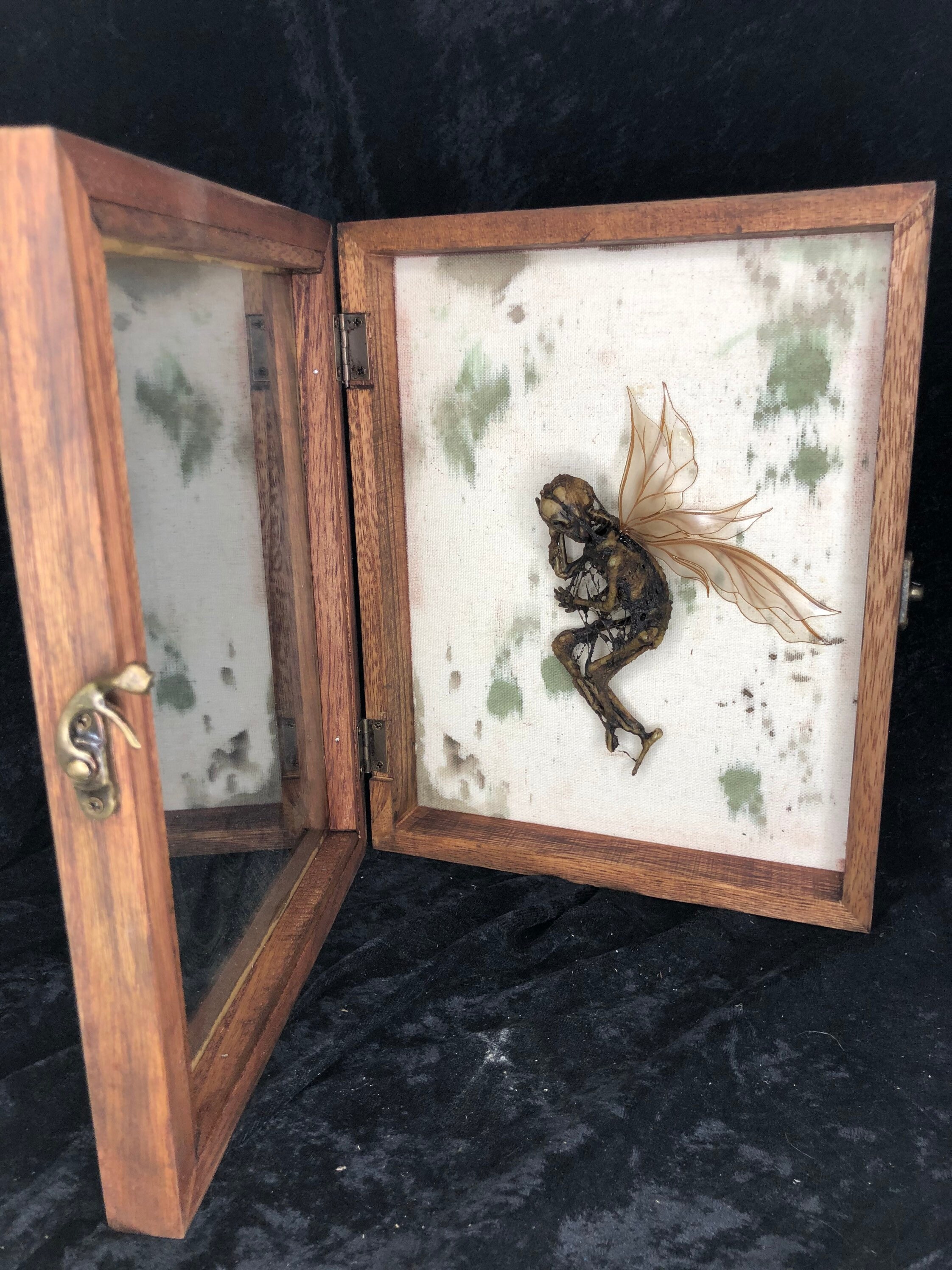 Dead Fairy Display Case | Etsy