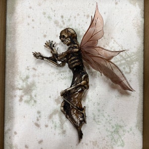 Dead Fairy Display Case - Etsy