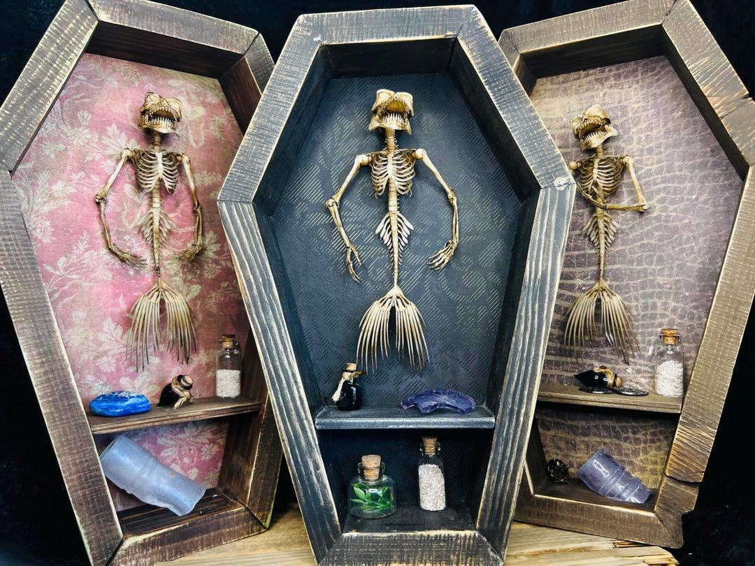 Mermaid Skeleton Coffin Display Box: Spooky Gothic Oddity - Etsy