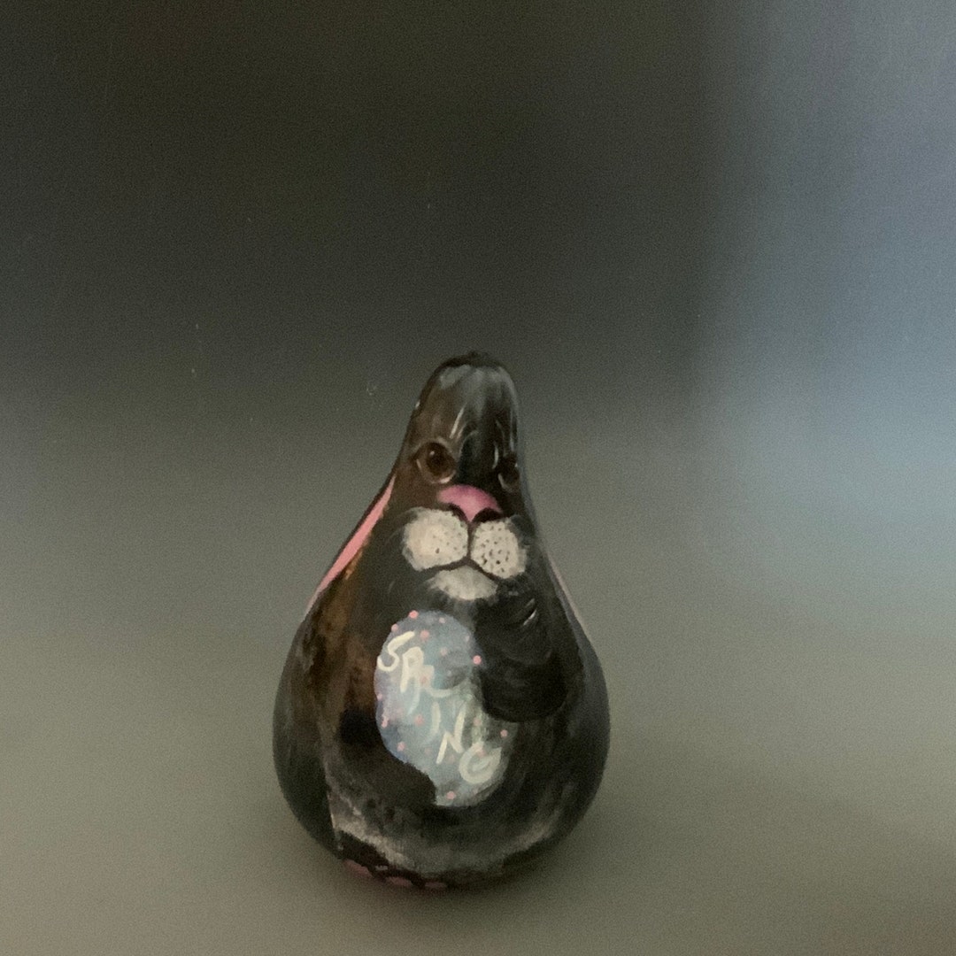 Hand Painted Rabbit Gourd Art - Etsy