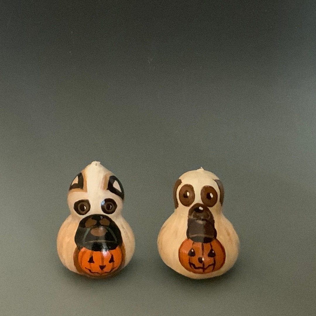 Hand Painted Halloween Dogs Gourd Art Set of 2 - Etsy