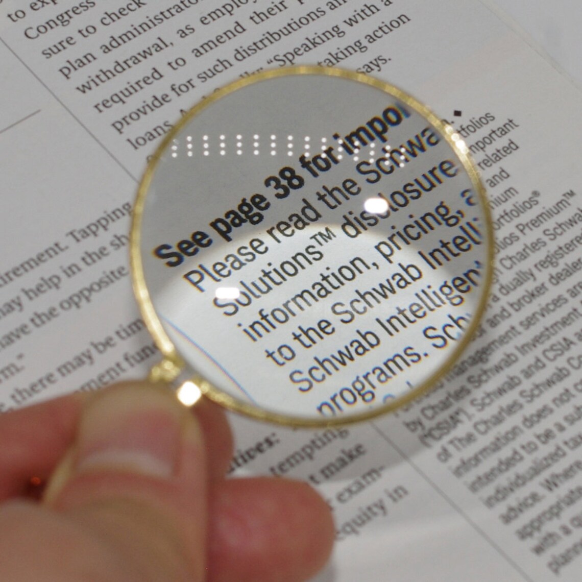 Ladybug Magnifying Glass Necklace, Brass Loupe Pendant Chain, Reading ...