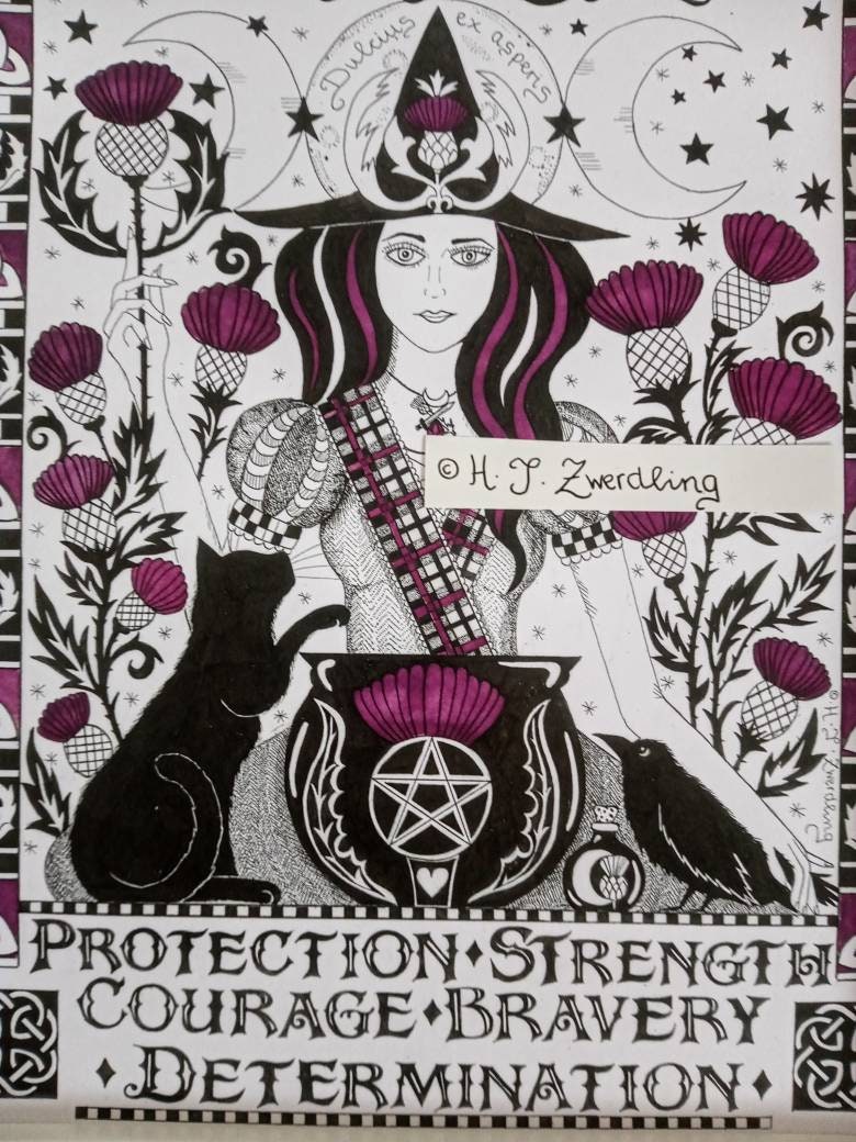 Scottish Thistle Witch ~ a High Quality, Framed A4 Signed Print of an ...