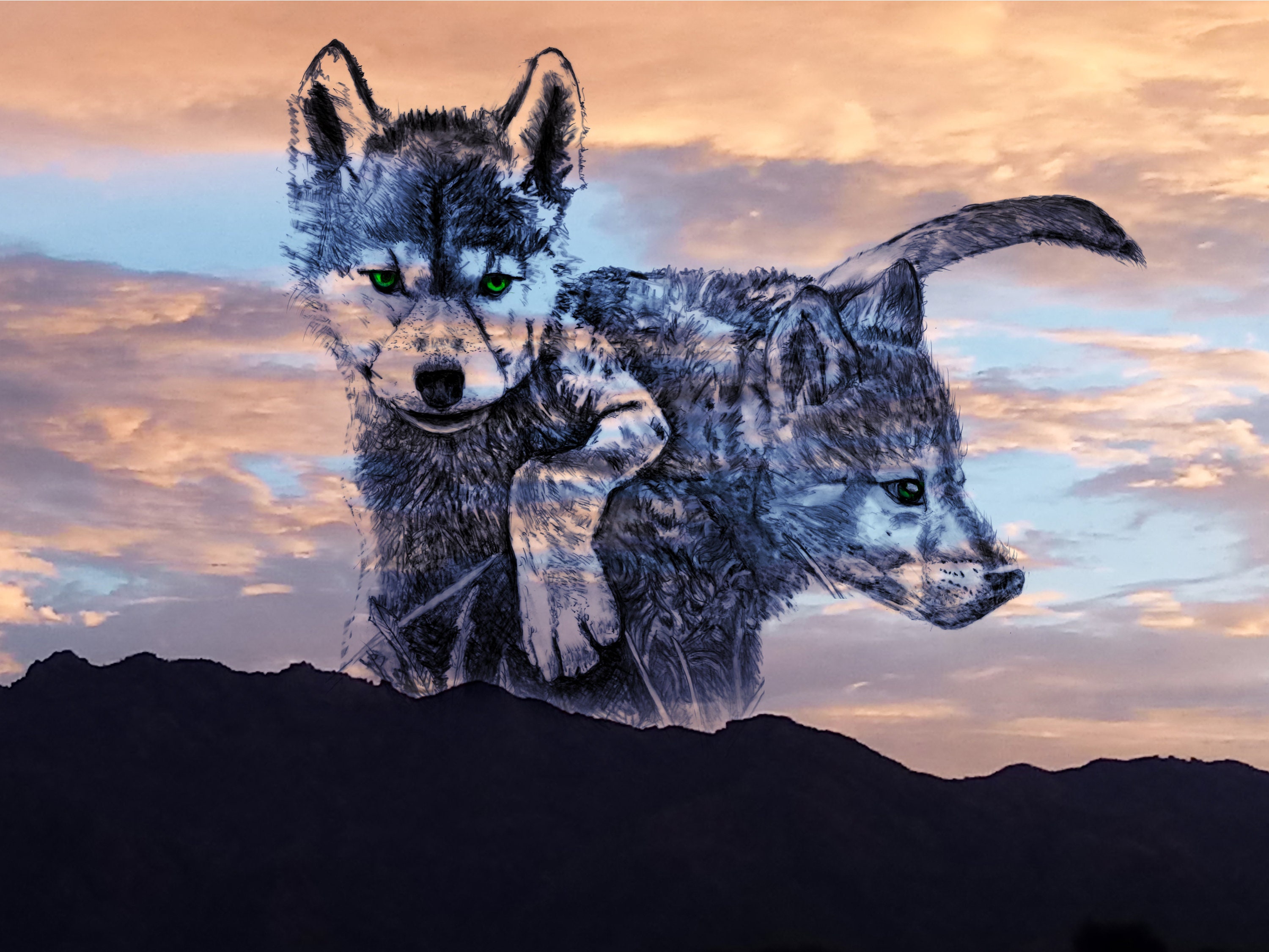 Native American Animal Symbols Wolf