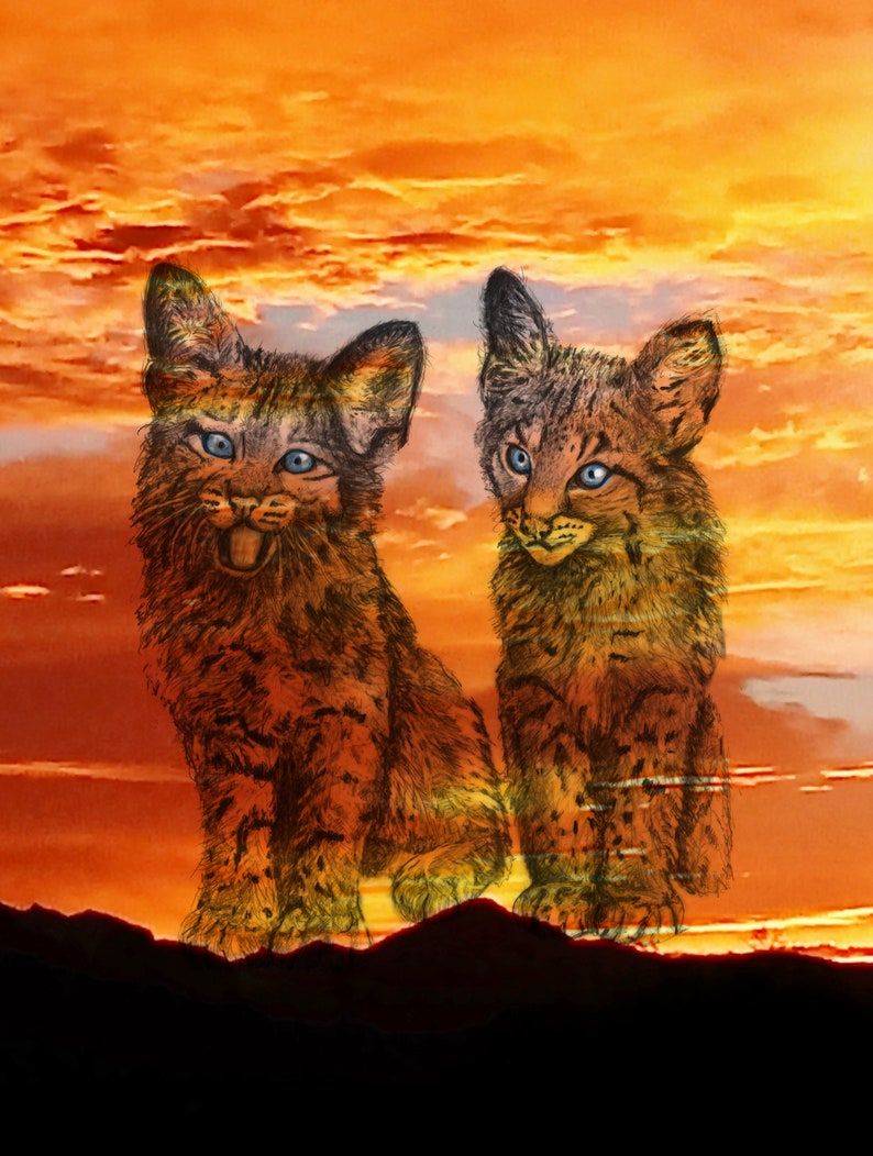 Bobcat Spirit Animal Print: Native American Art, Sunset Drawing - Etsy
