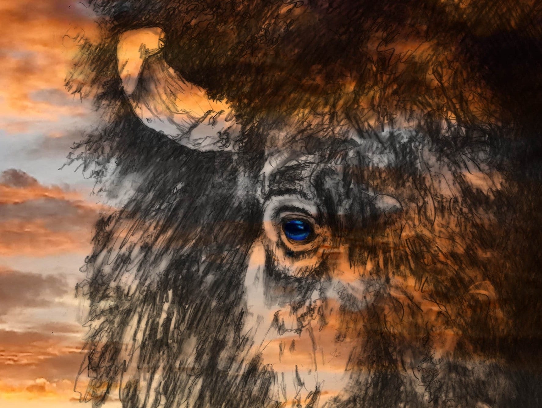 Bison Spirit Animal Pencil Drawing Print, Native American Art "yanasi ...