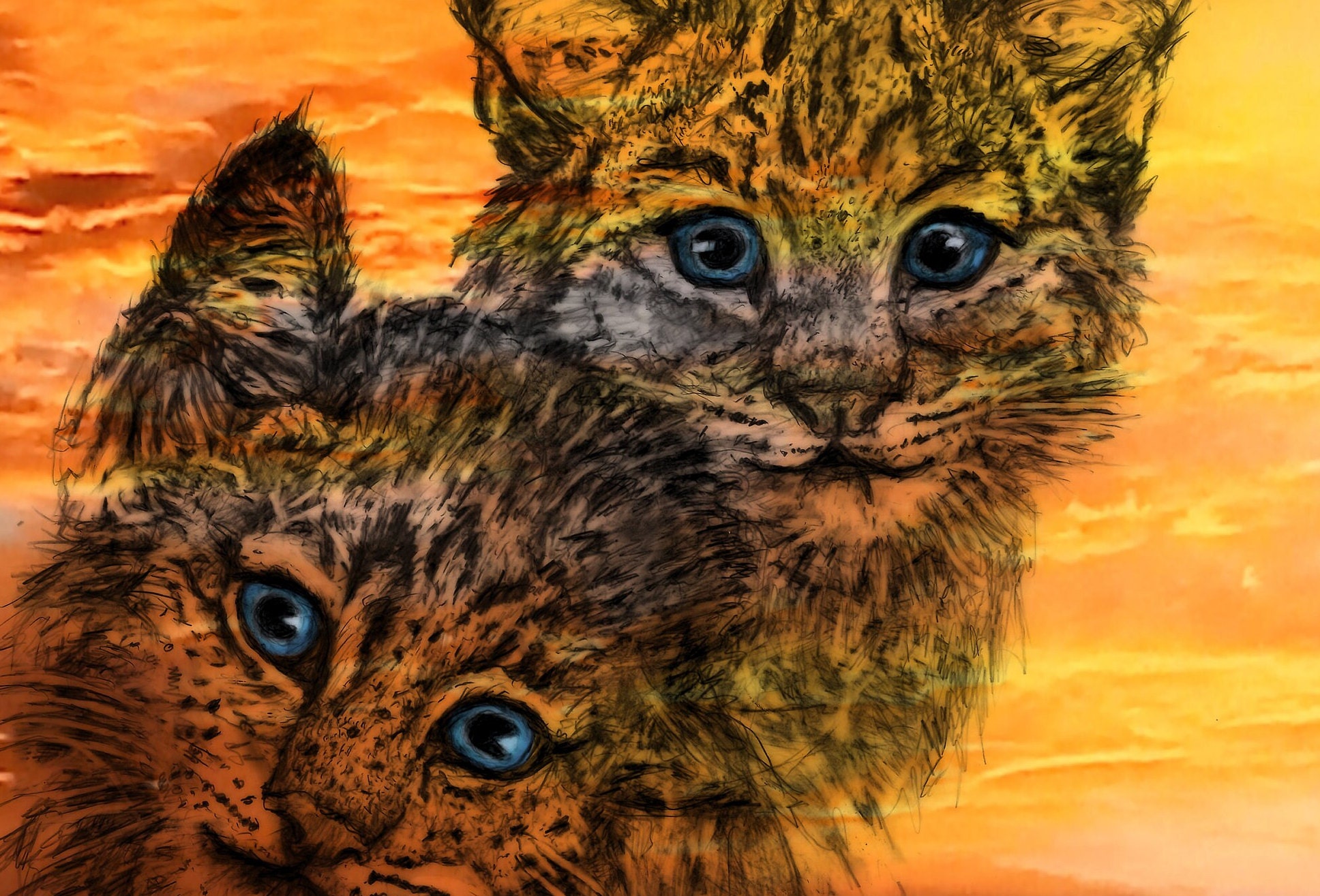 Bobcats Native American Spirit Animal Wildlife Pencil Drawing Sunrise ...