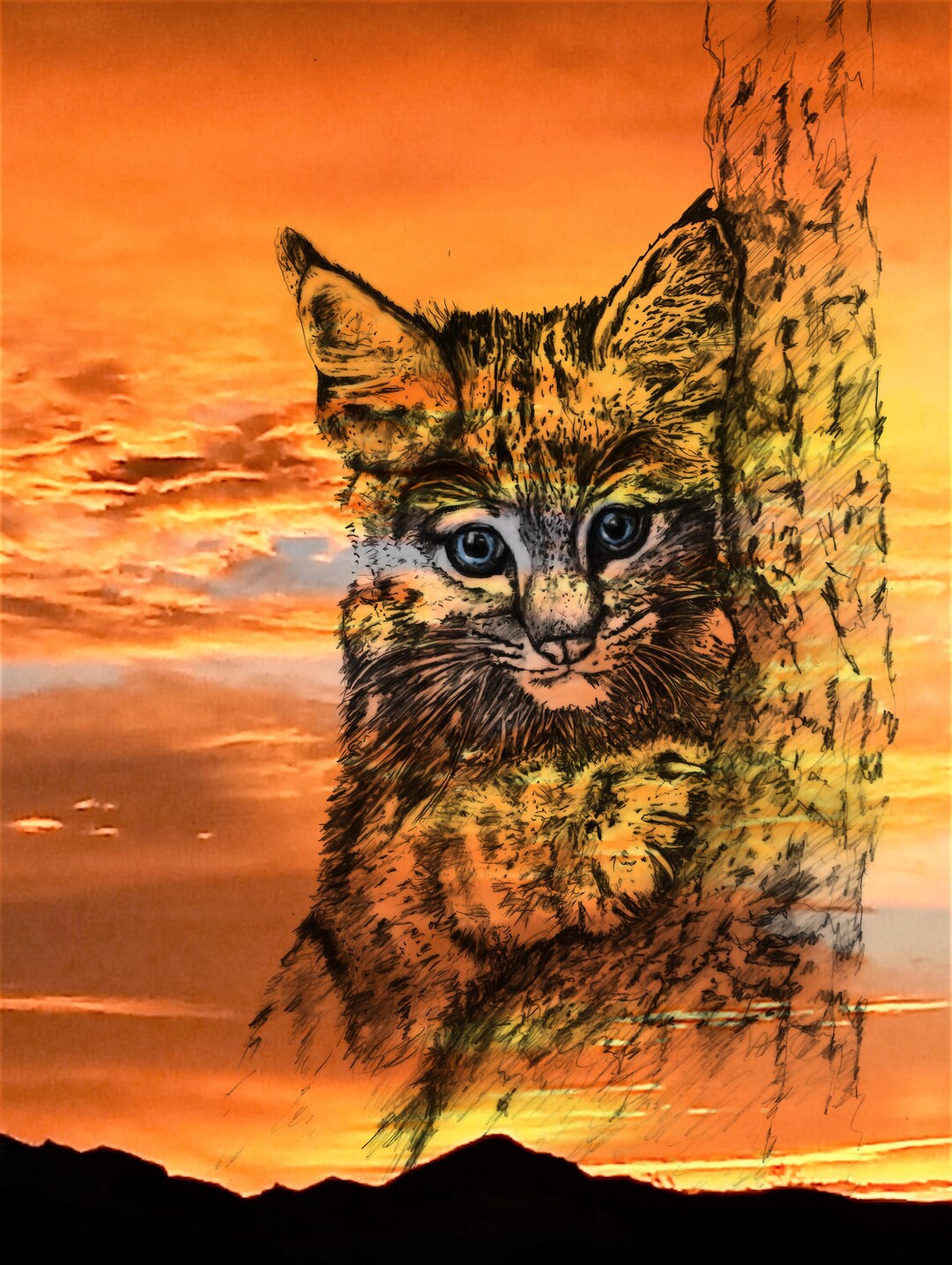 Bobcat Kitten Native American Spirit Animal Wildlife Pencil Drawing ...