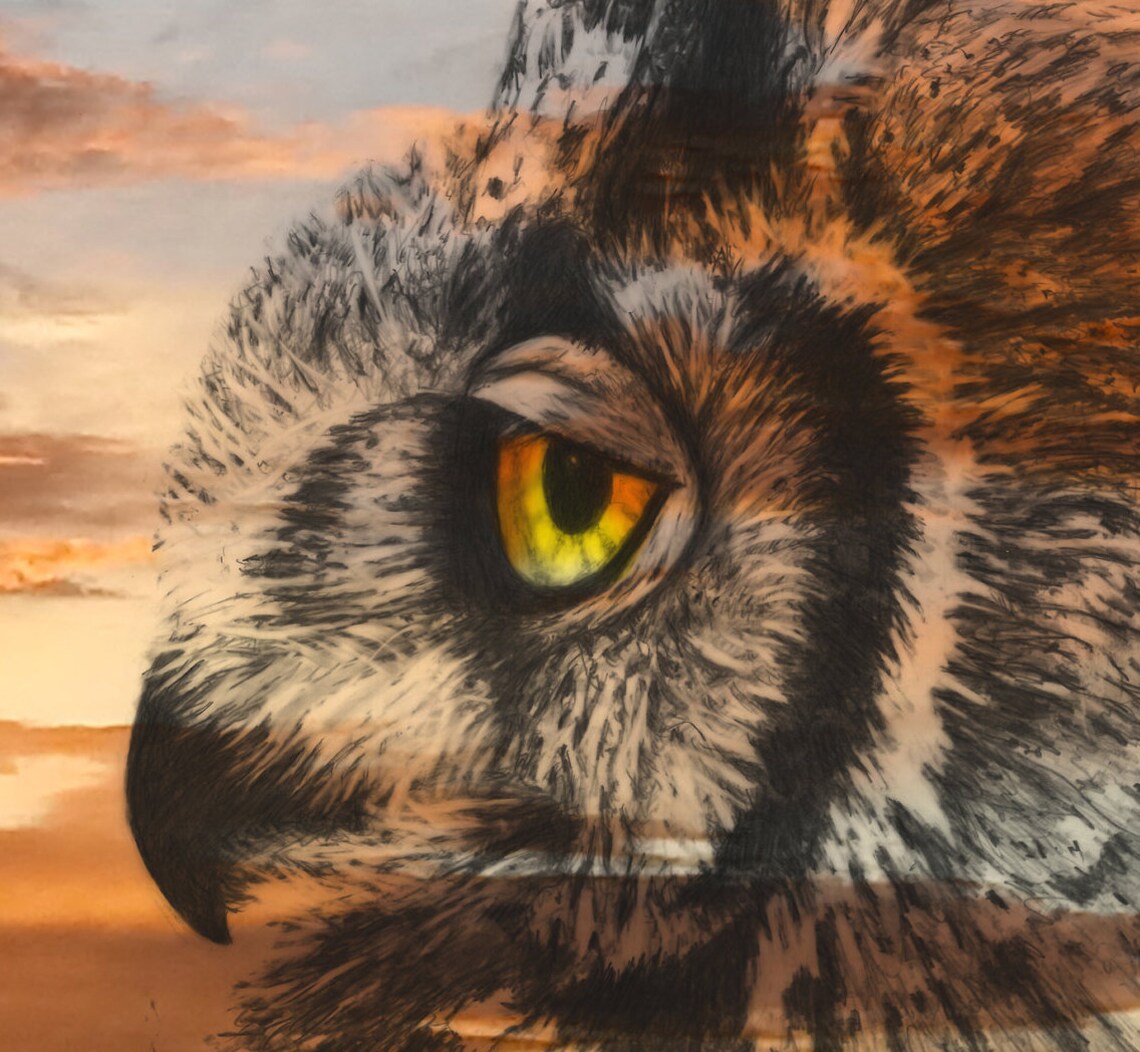Great Horned Owl Native American Spirit Animal Wildlife Pencil Drawing ...