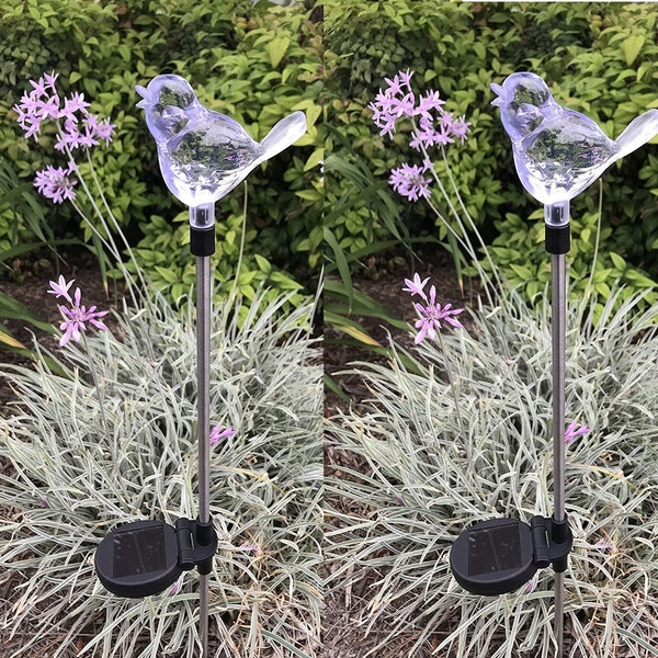 Bird Solar Light - Etsy
