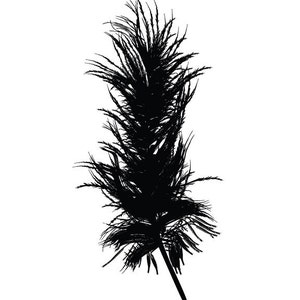 Set of 3 Black and White Feather Prints/ Modern Feather Prints/ Ink ...