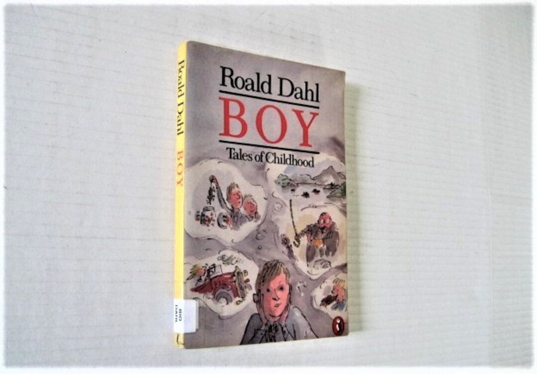 Boy: Tales of Childhood, by Roald Dahl, Paperback Vintage Book - Etsy