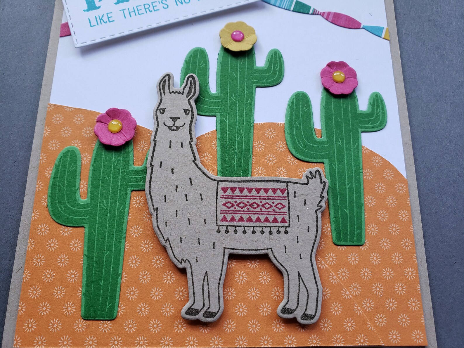 Llama and Cacti Cinco De Mayo Card - Etsy