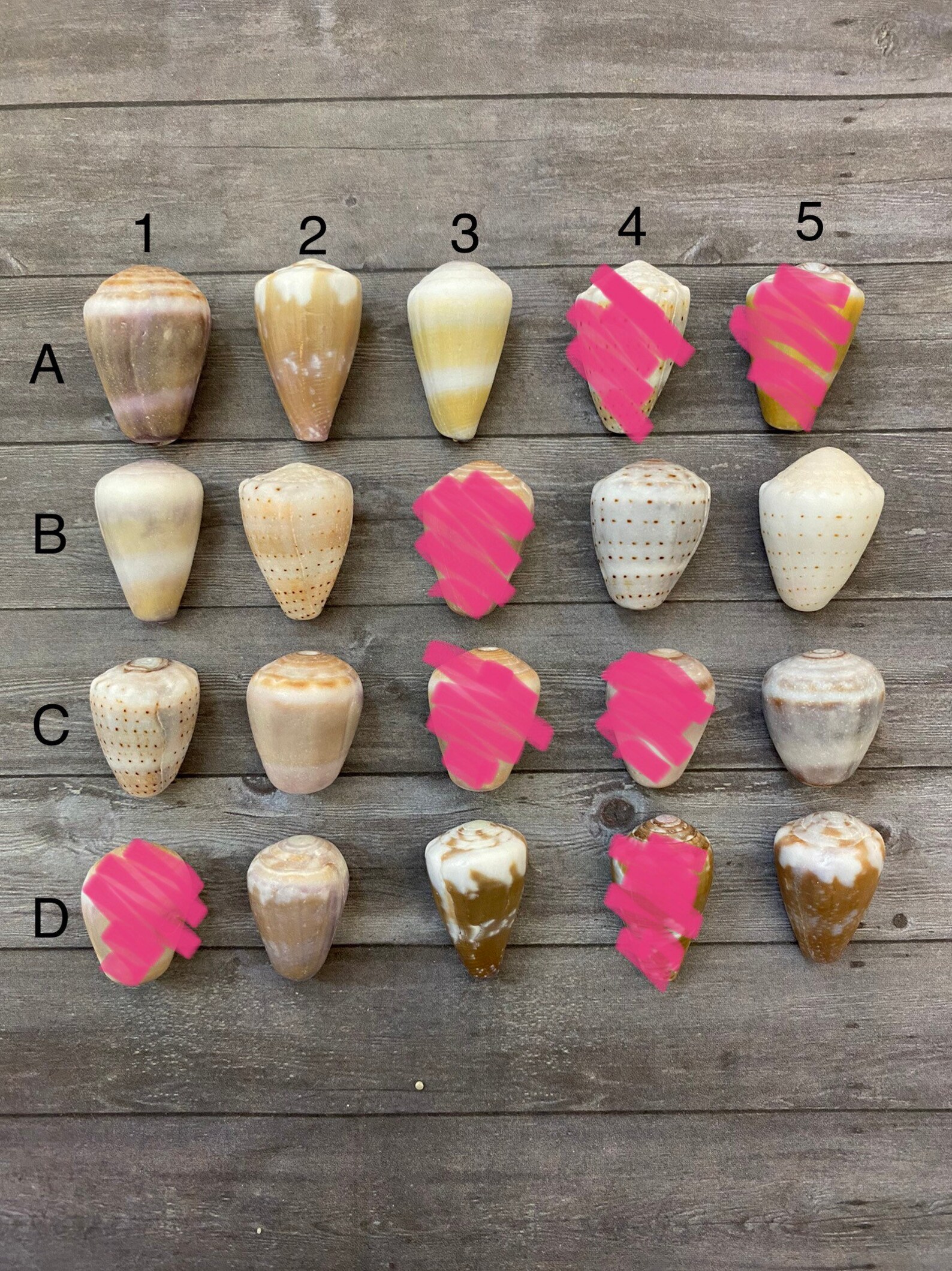 Hawaiian Shell Bangle | Etsy