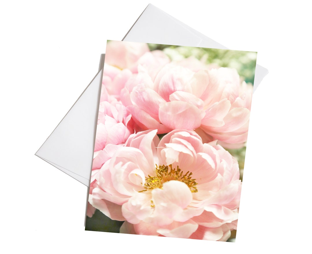 Pink Peonies Flowers Note Cards, Notecard Set With Envelopes, Set of 8 ...