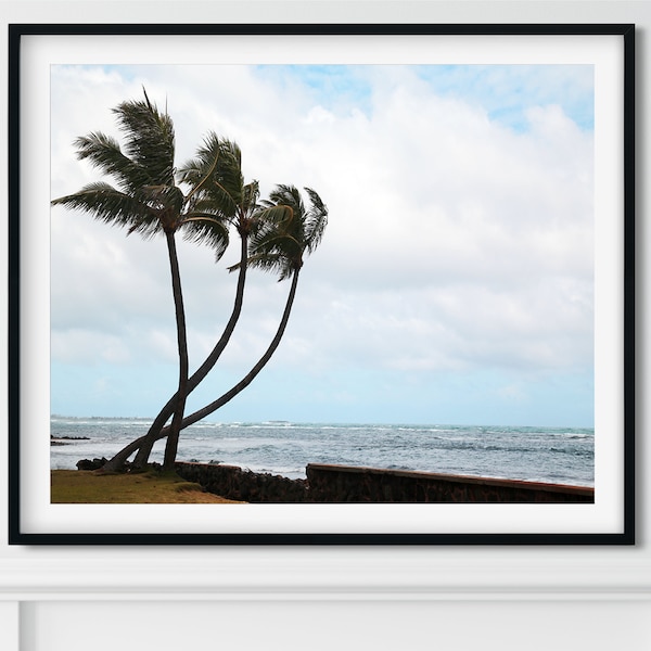 16x20 Art Print - Etsy