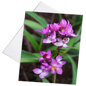 Tropical Flower Card Set, Botanical Note Cards, Set of 8, Blank Note ...