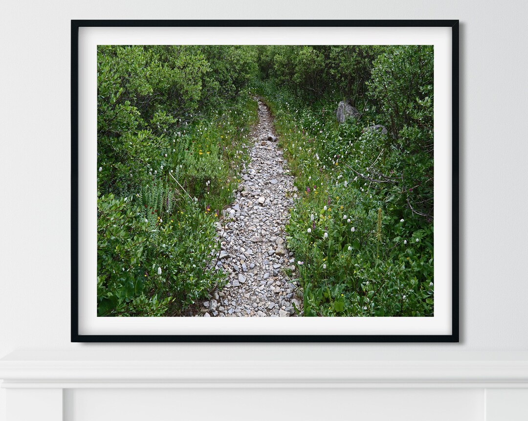Landscape Photography, Tree Print, Green Wall Art, Meadows Photo ...