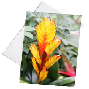 Tropical Flower Card Set, Botanical Note Cards, Set of 8, Blank Note ...