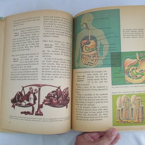 RARE Vintage / Retro 1961 the How and Why Wonder Book of the Human Body ...