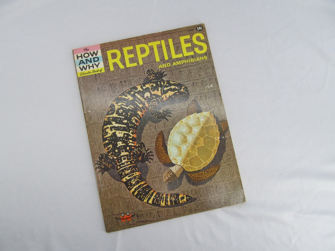 RARE Vintage / Retro 1960 the How and Why Wonder Book of Reptiles ...