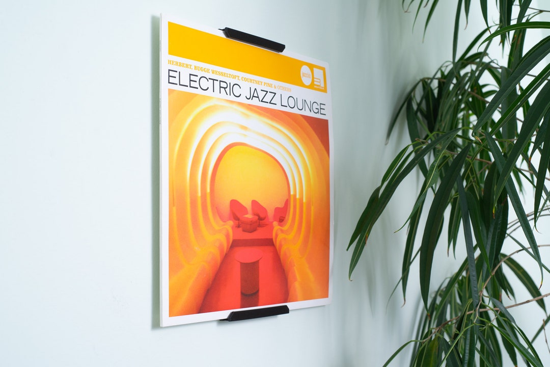 Double Vinyl Record Display Wall Mount | Two Piece Vinyl Shelves - Etsy