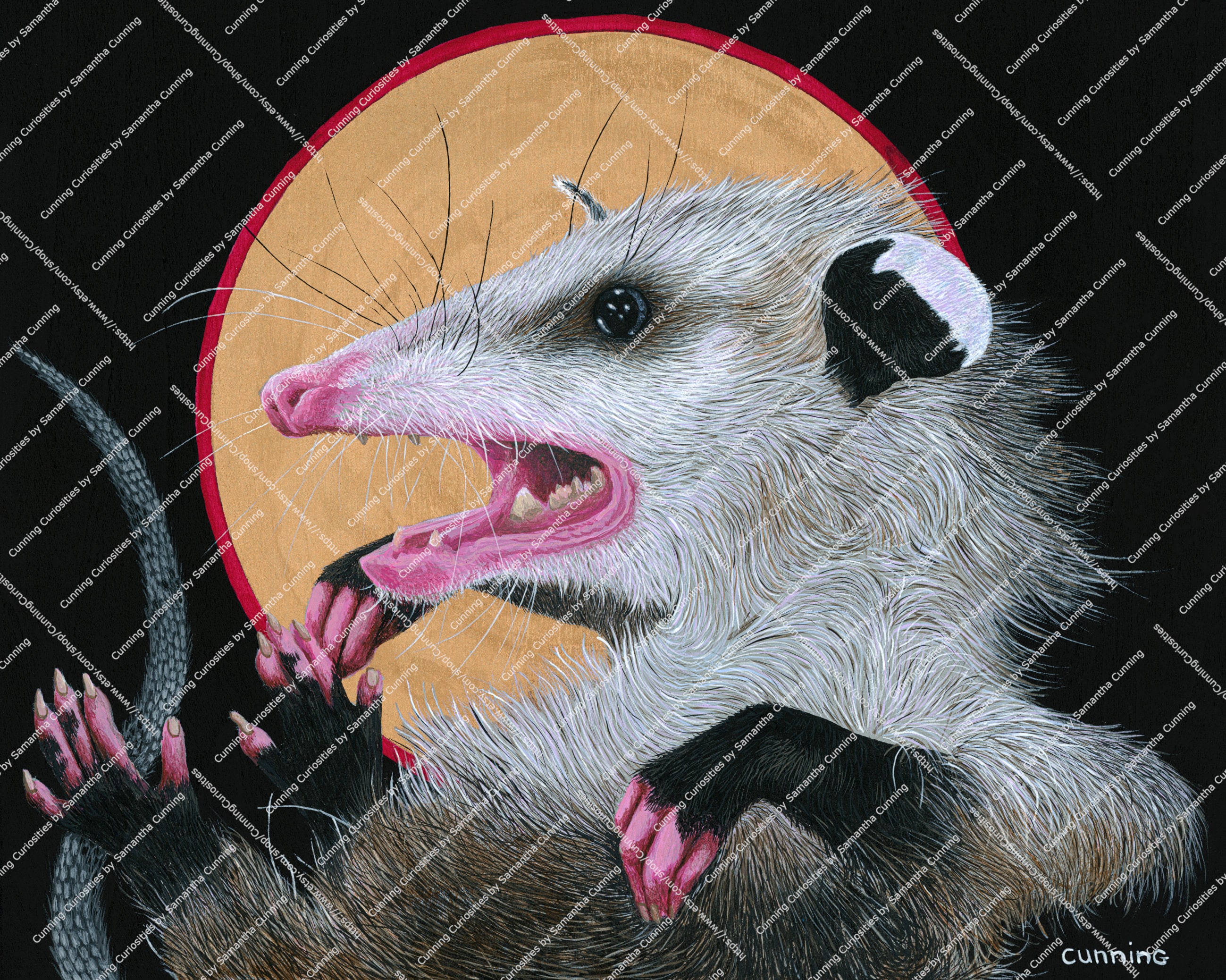 Why Does the Opossum Scream - Etsy