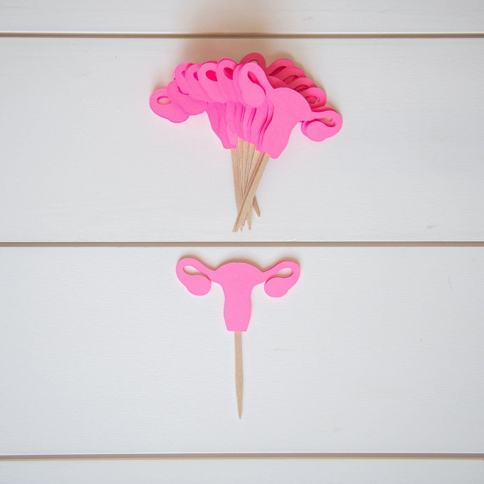Uterus Party Picks // Cupcake Toppers - Etsy